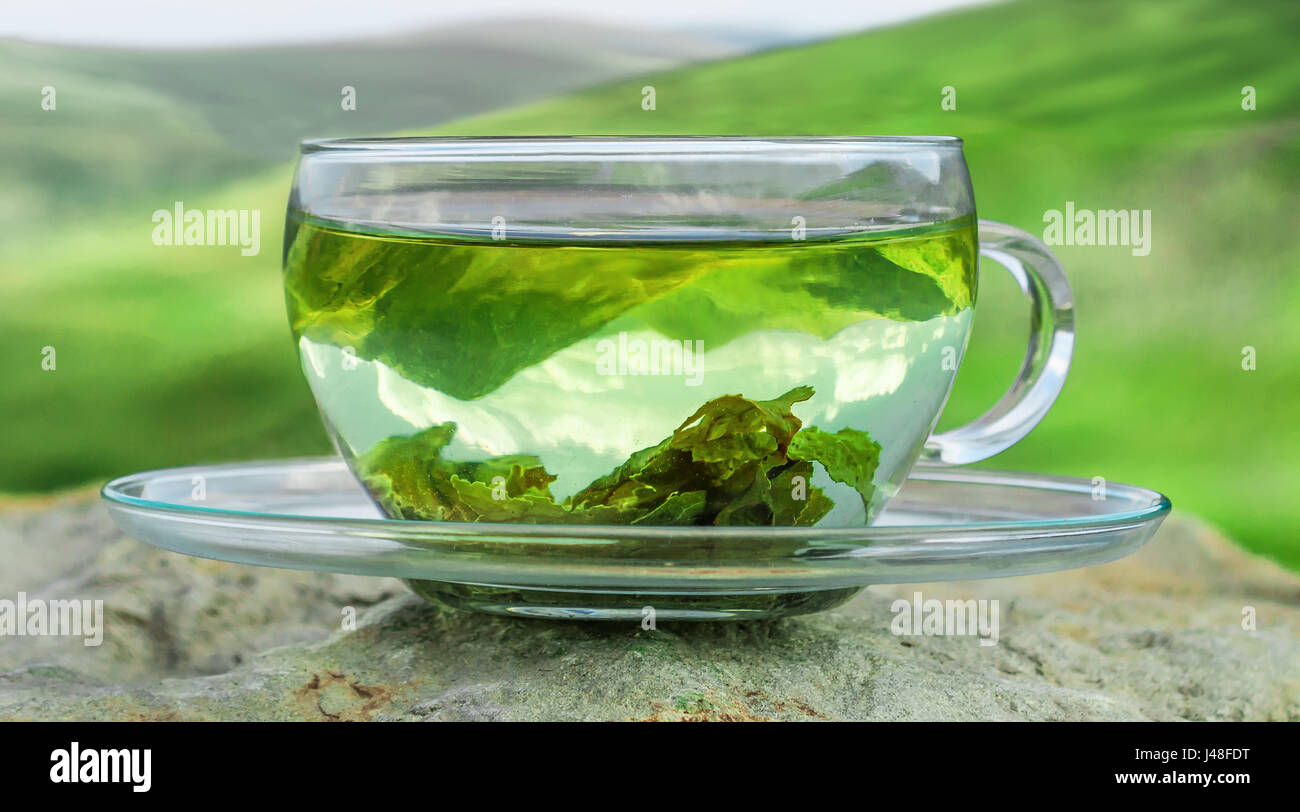 Green tea time. Green tea leaves at the bottom of the cup. Hot tea ...