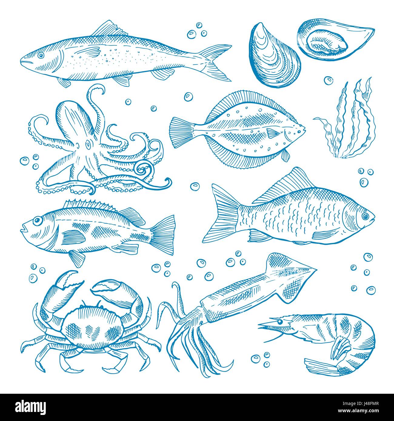 Vector set of seafood Stock Vector Image & Art - Alamy