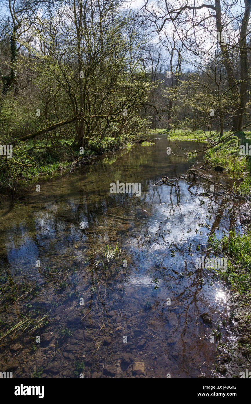 Lathkill Dale, Peak District National Park, Derbyshire, England Stock ...