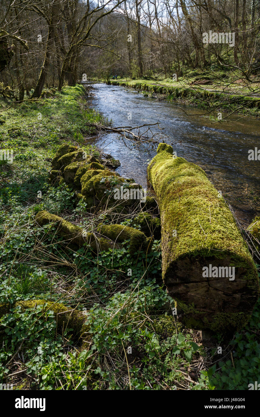 Lathkill Dale, Peak District National Park, Derbyshire, England Stock ...