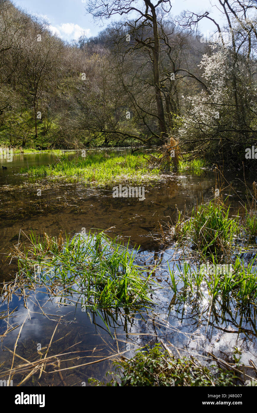 Lathkill Dale, Peak District National Park, Derbyshire, England Stock ...
