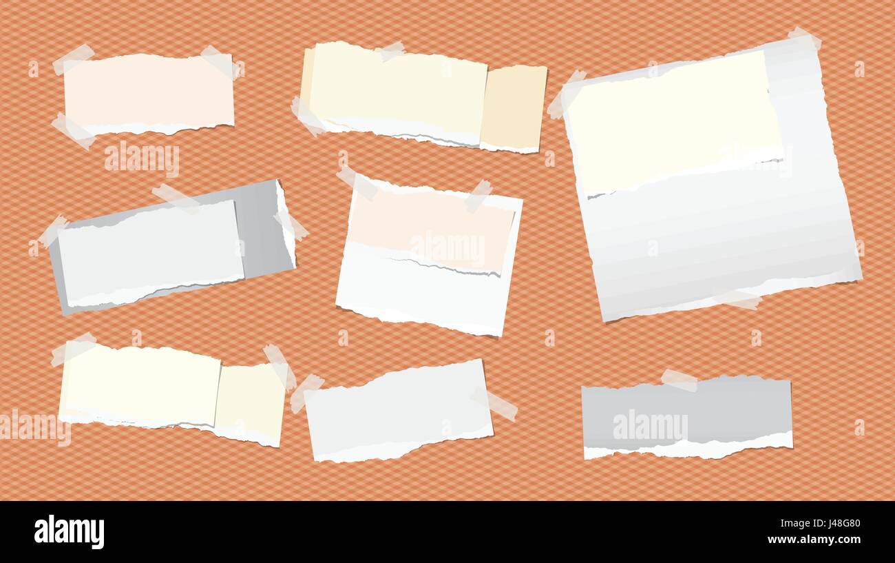 Pieces of ripped white and colorful note, notebook, copybook paper ...