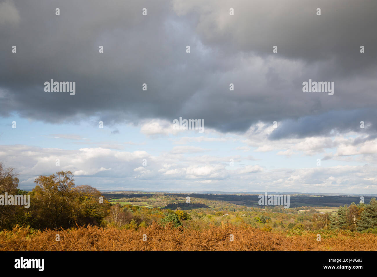 Ashdown forest, UK. Rolling hills viewed from Ashdown forest Stock ...