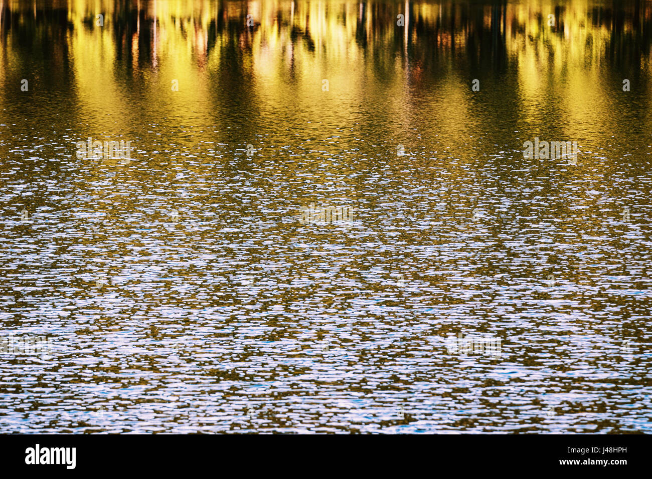 Water level, water in motion. Reflected structure of the surroundings ...