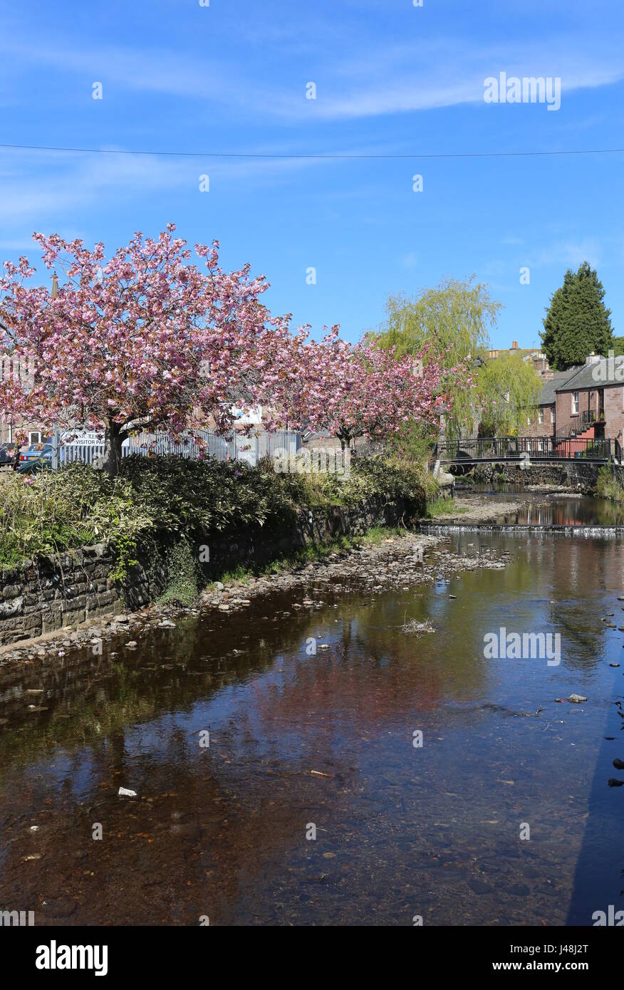 Alyth burn hi-res stock photography and images - Alamy