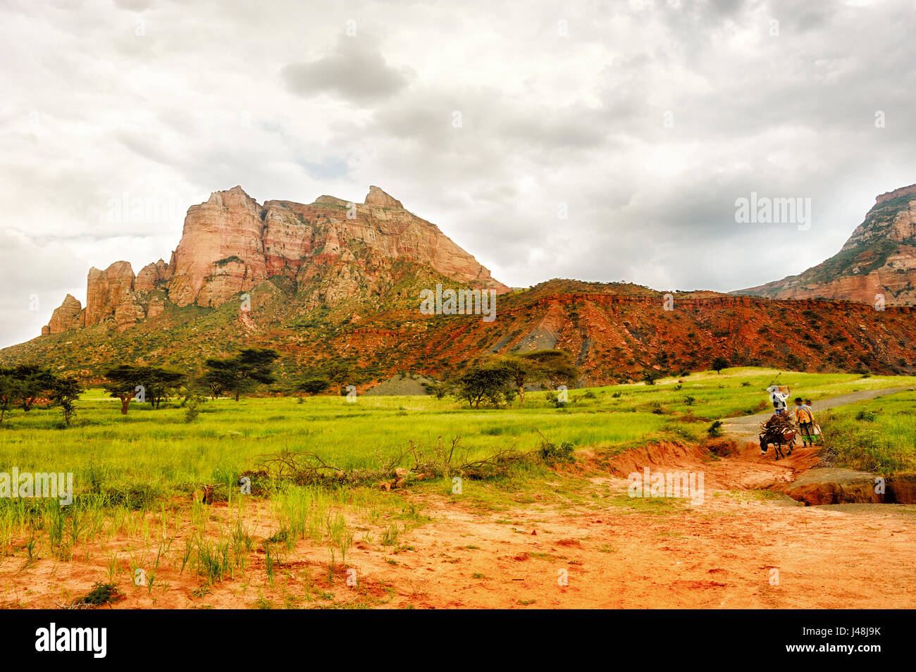 Tigray province hi-res stock photography and images - Alamy