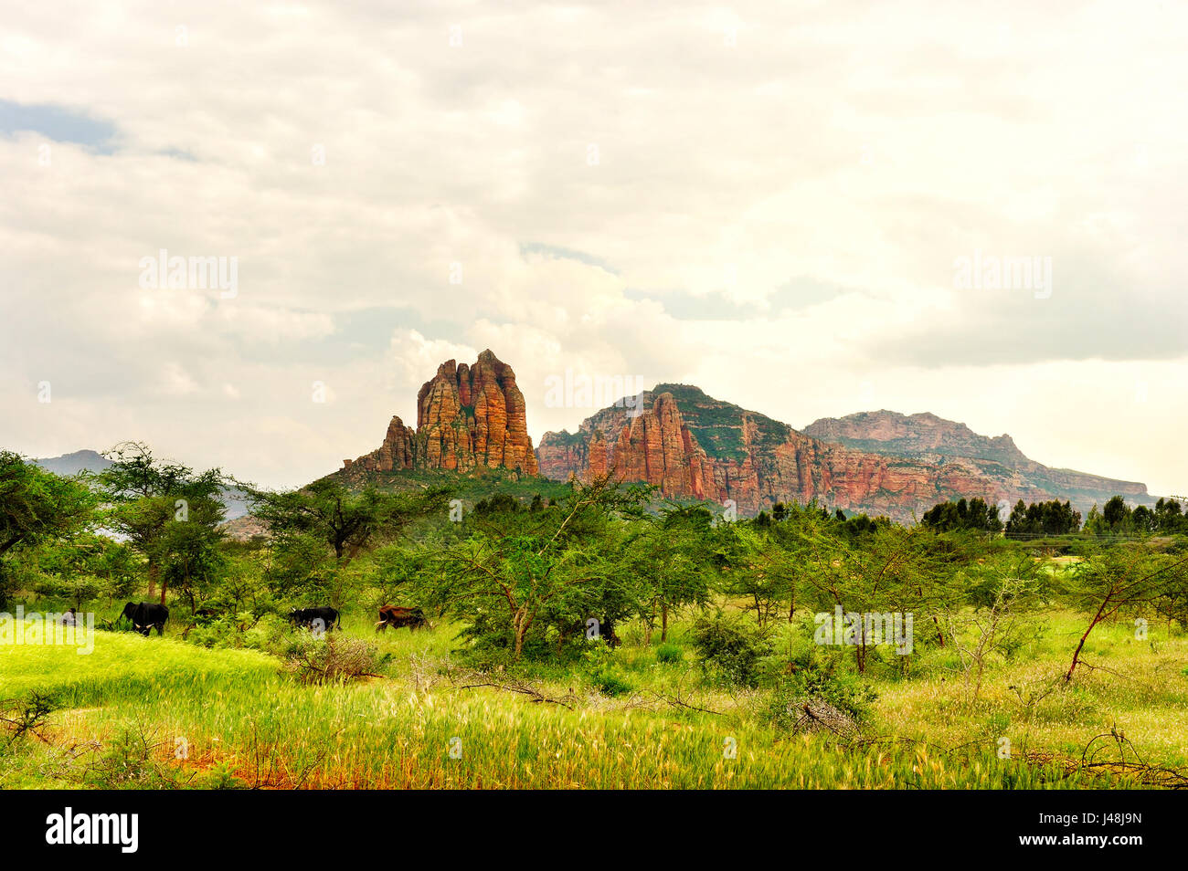 Tigray province hi-res stock photography and images - Alamy