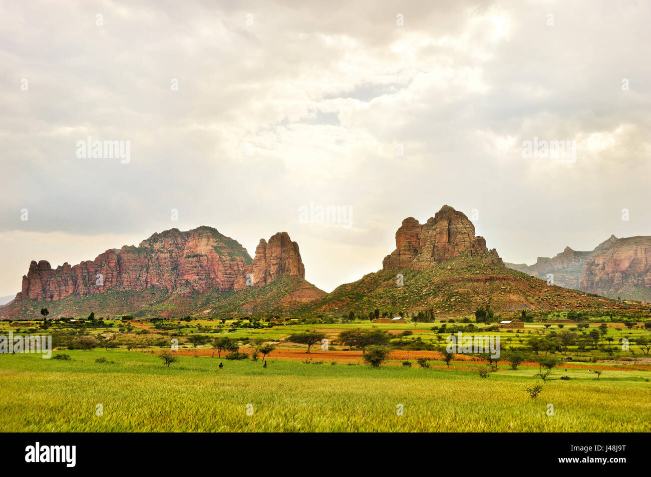 Tigray province hi-res stock photography and images - Alamy