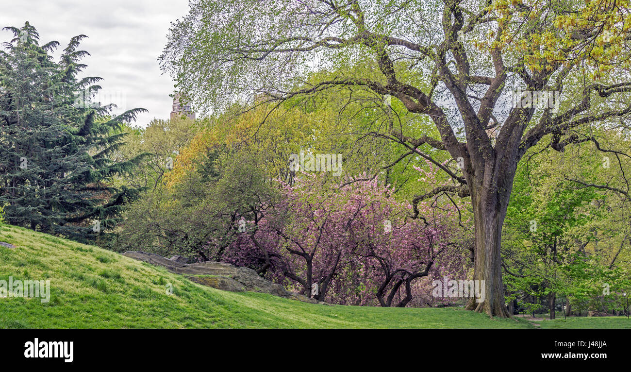 Central Park, New York City in early spring Stock Photo - Alamy