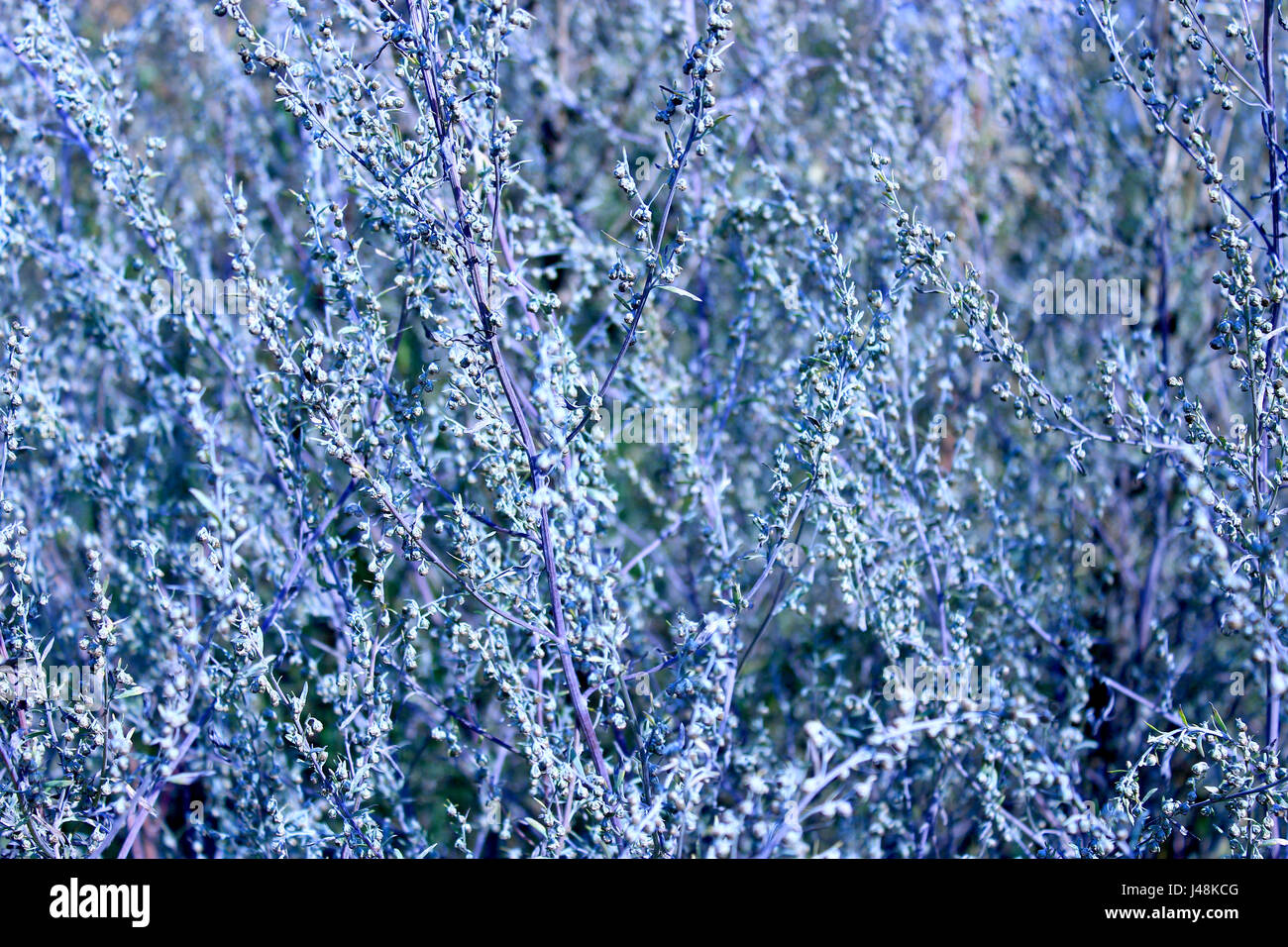 Bluish texture hi-res stock photography and images - Alamy