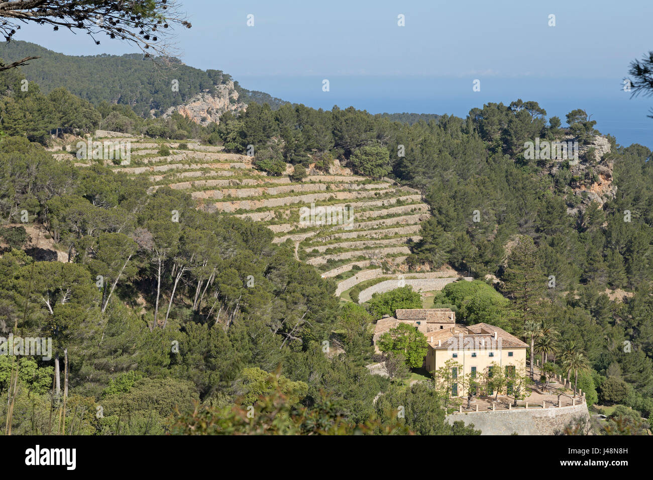 terraces near Banyalbufar, Majorca, Spain Stock Photo - Alamy
