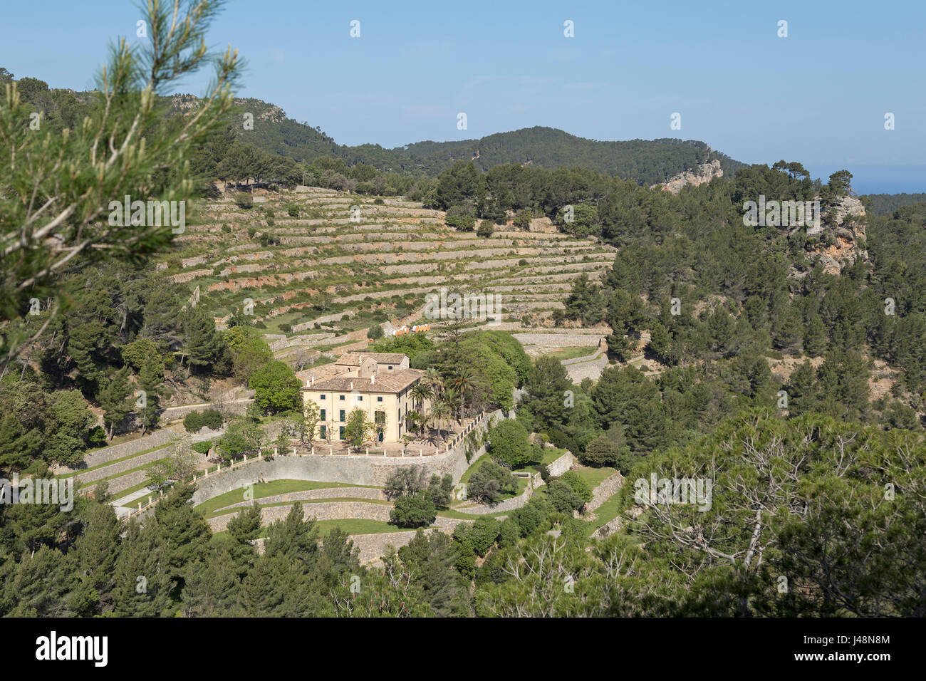 terraces near Banyalbufar, Majorca, Spain Stock Photo - Alamy