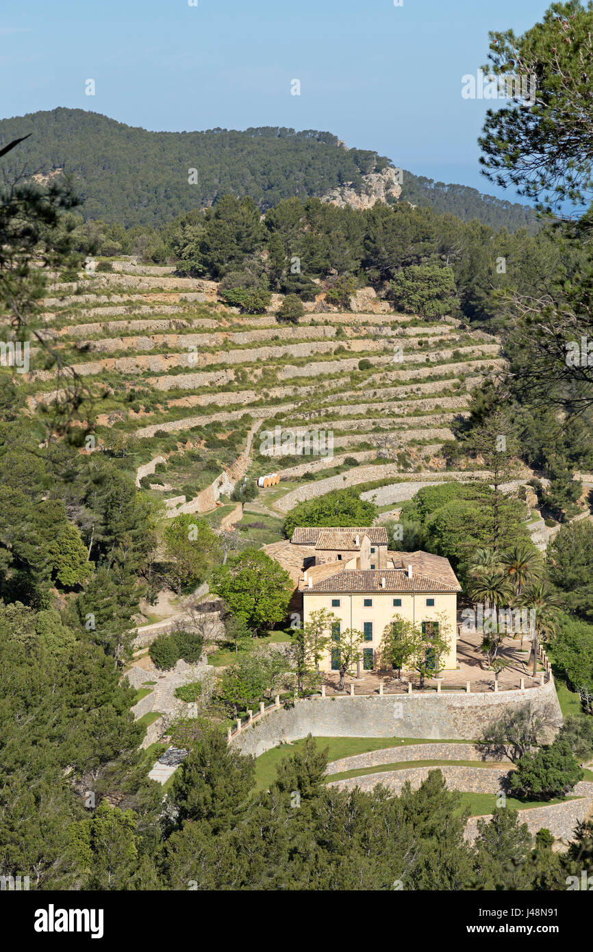 Terraces near banyalbufar mallorca hi-res stock photography and images ...