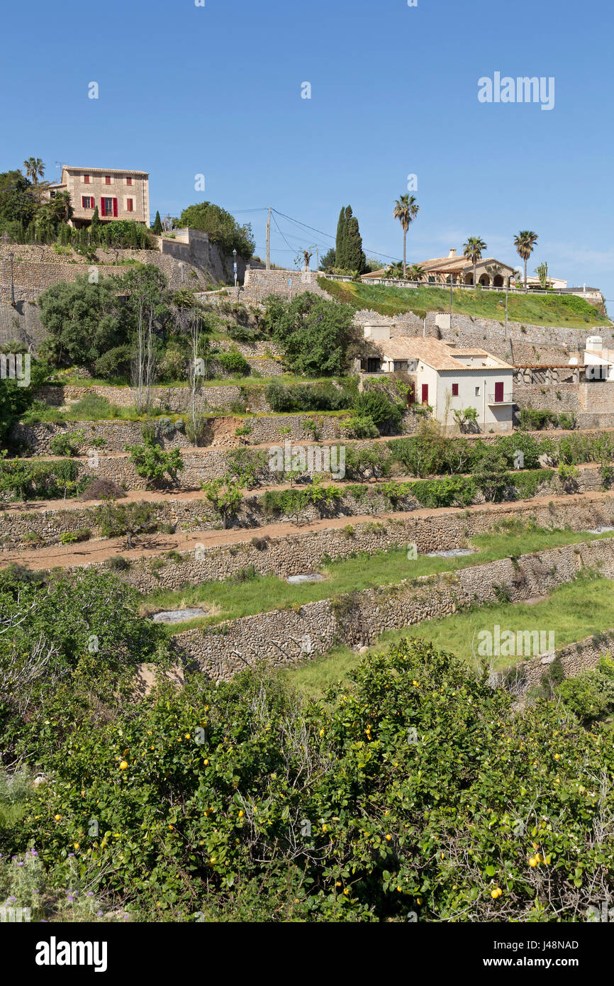 Terrasse terrasses terrasses terrasses hi-res stock photography and ...