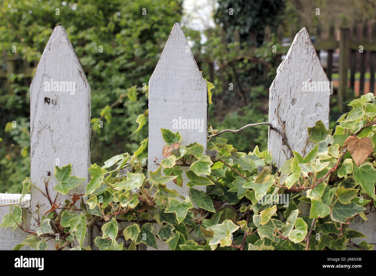 English garden fence Stock Photo - Alamy