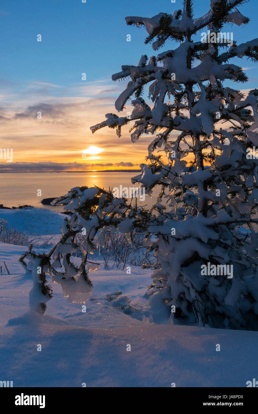 Morning sun pokes above horizon in Chiniak Bay, illuminating iced ...