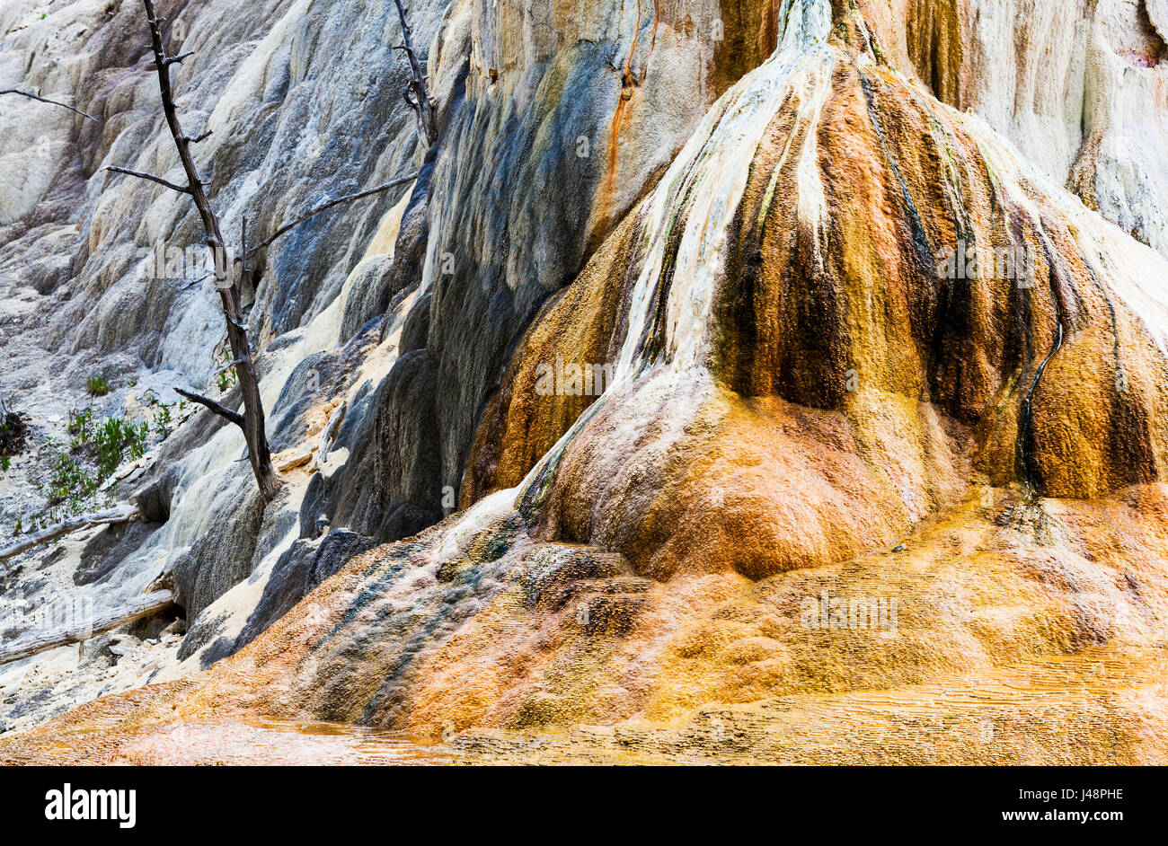 Orange Spring Mound, Mammoth Hot Springs Terrace, Yellowstone National ...