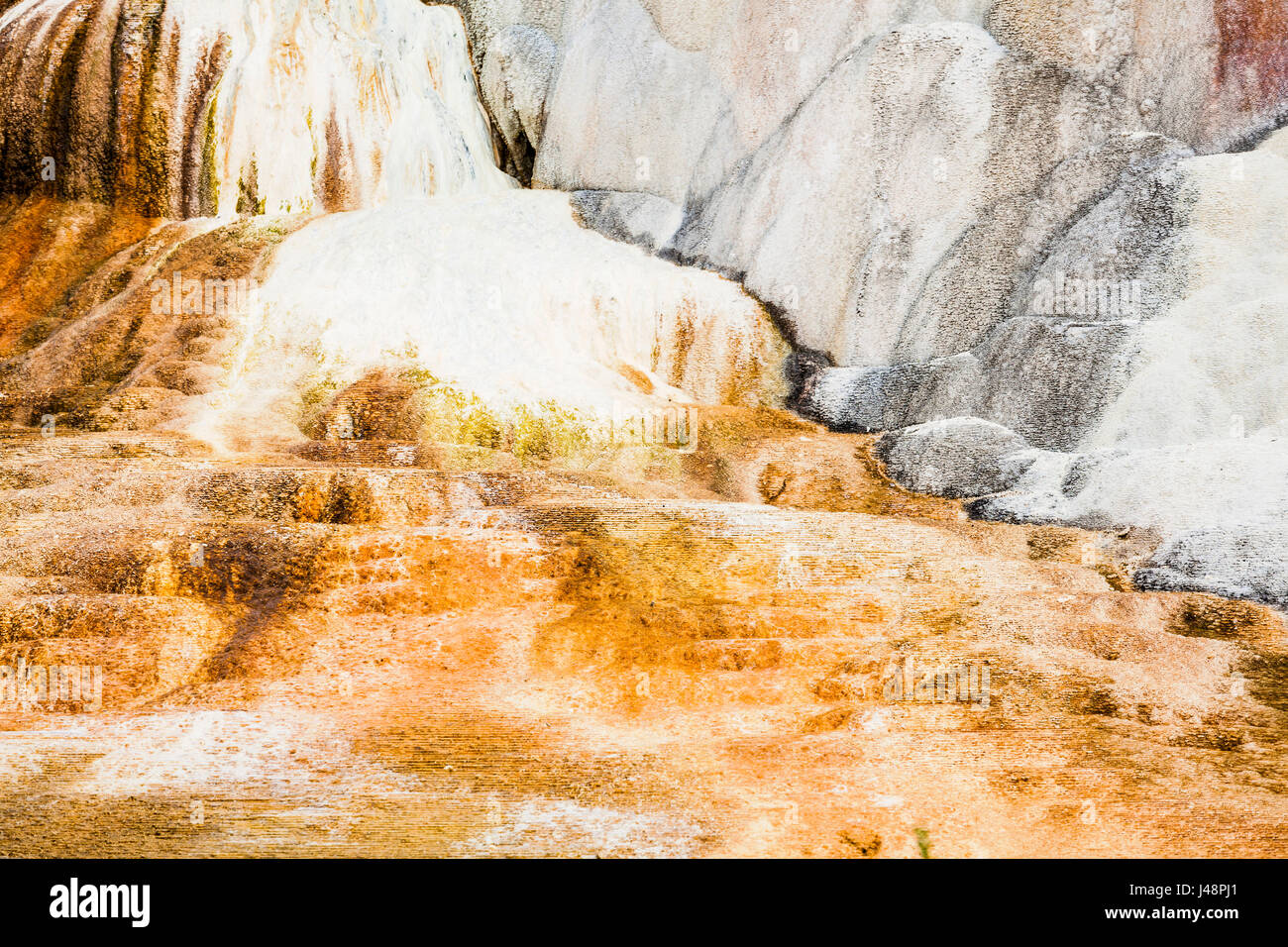 Orange Spring Mound, Mammoth Hot Springs Terrace, Yellowstone National ...