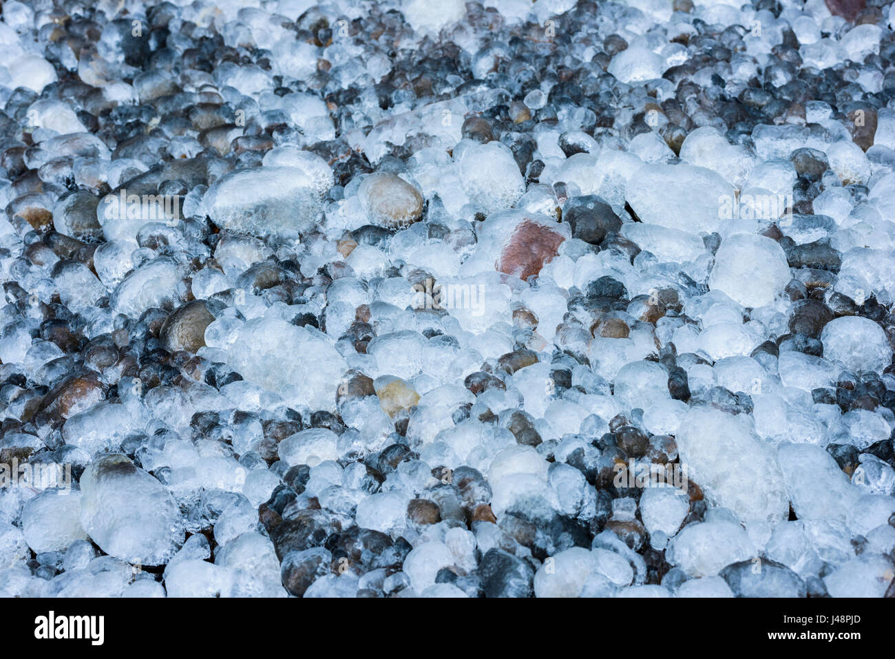 Ice covers the pebbles near Youngs River; Olney, Oregon, United States ...