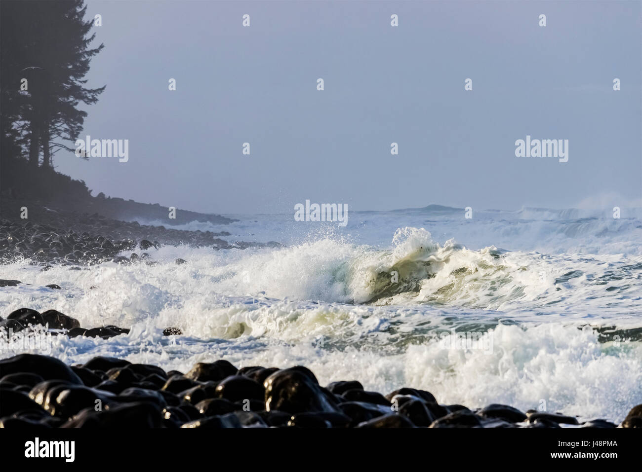 Waves pound the rocks near Tillamook Head on the Oregon Coast; Seaside ...