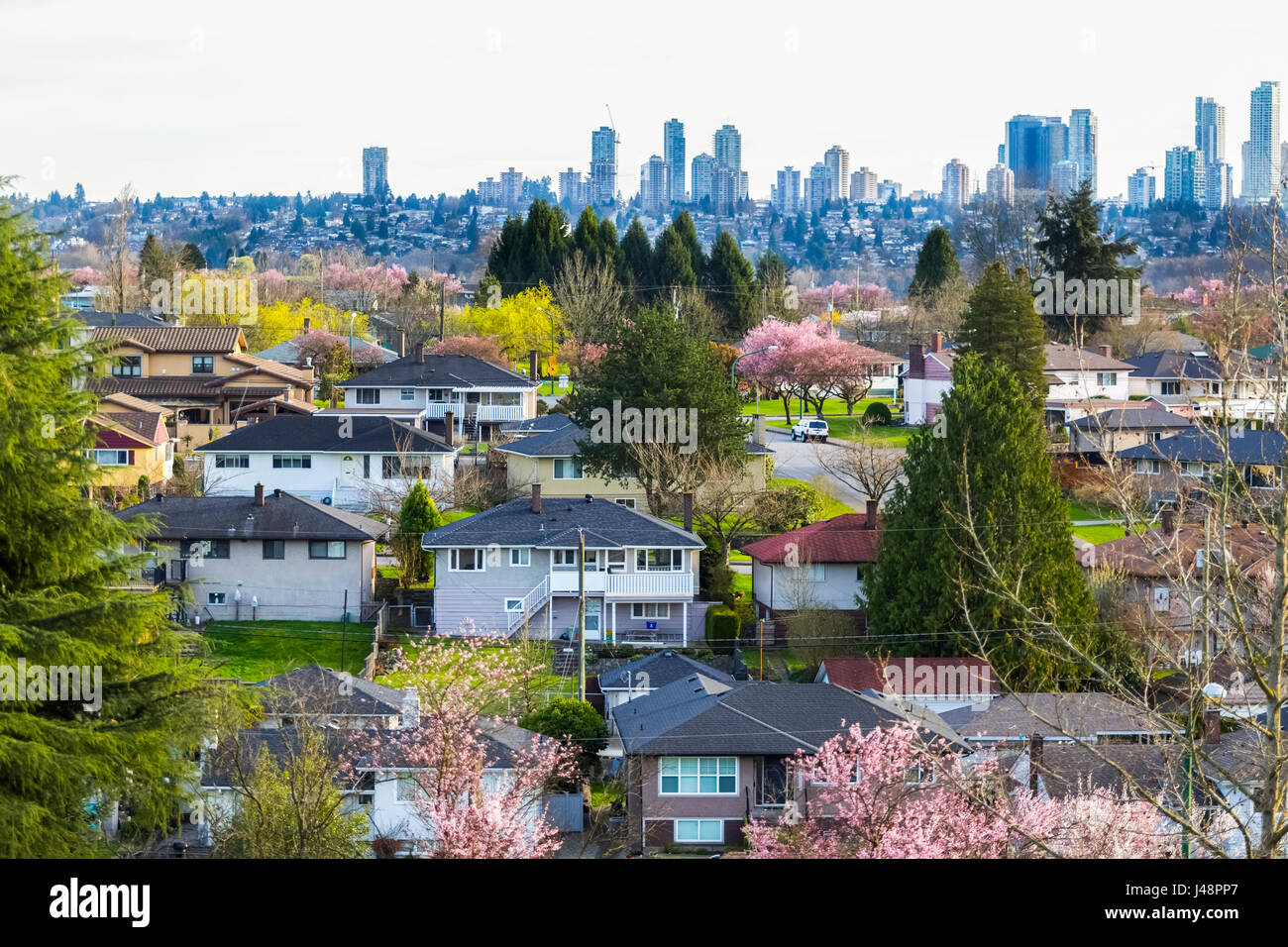 North Burnaby Suburbs With A View Of Downtown Burnaby In The Background ...