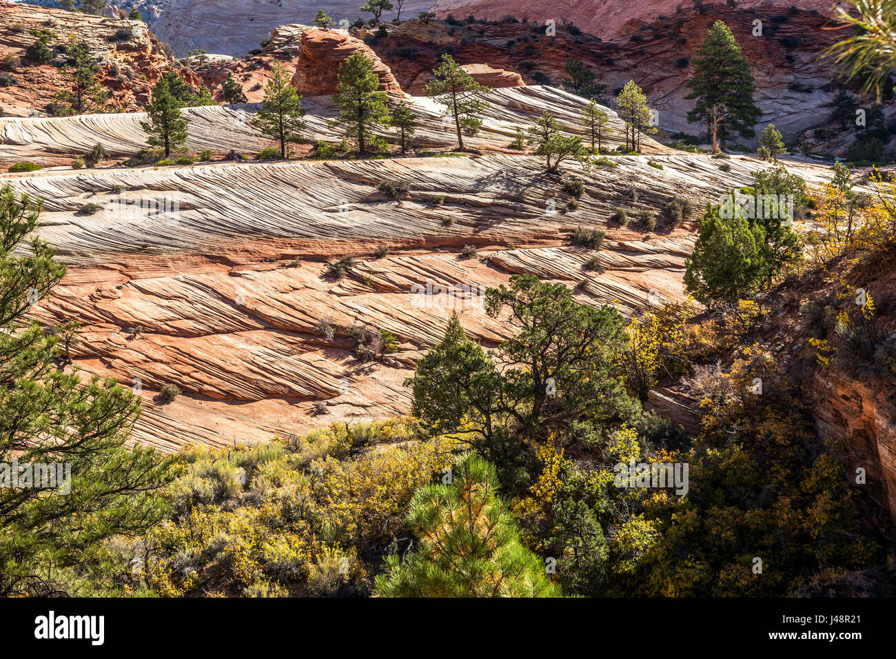 Mount Carmel highway, Zion National Park; Orderville, Utah, United ...
