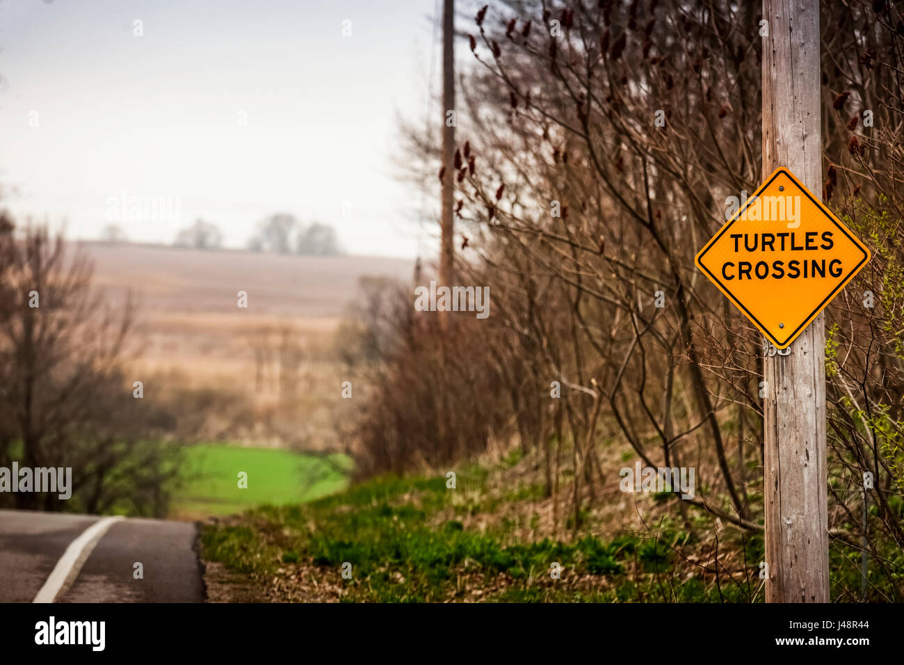 A caution sign on the side of the road saying turtles crossing ...