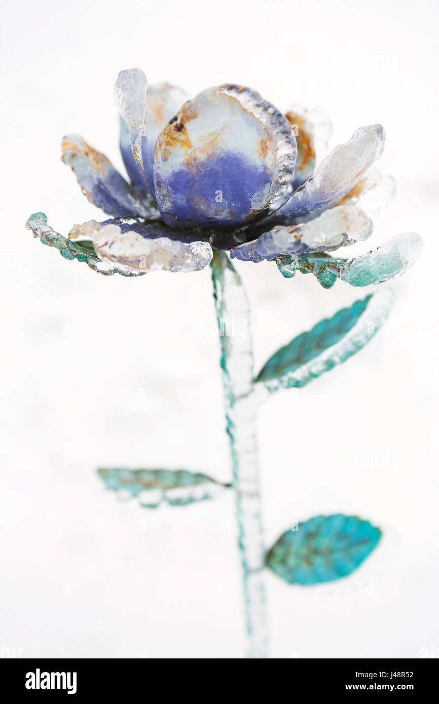 A metal flower encased in ice from an ice storm against a white ...