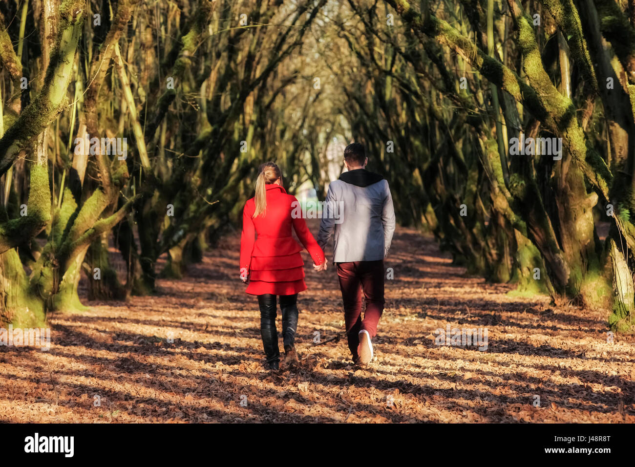 A young couple walks in a park down a trail holding hands; Oregon ...
