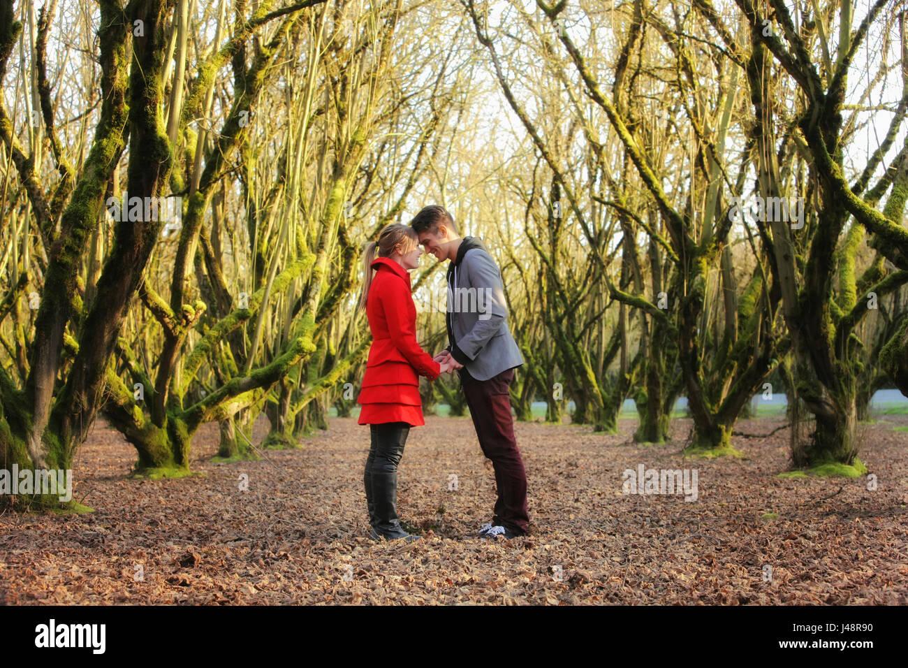 A young couple stands in a park face to face with foreheads touching ...
