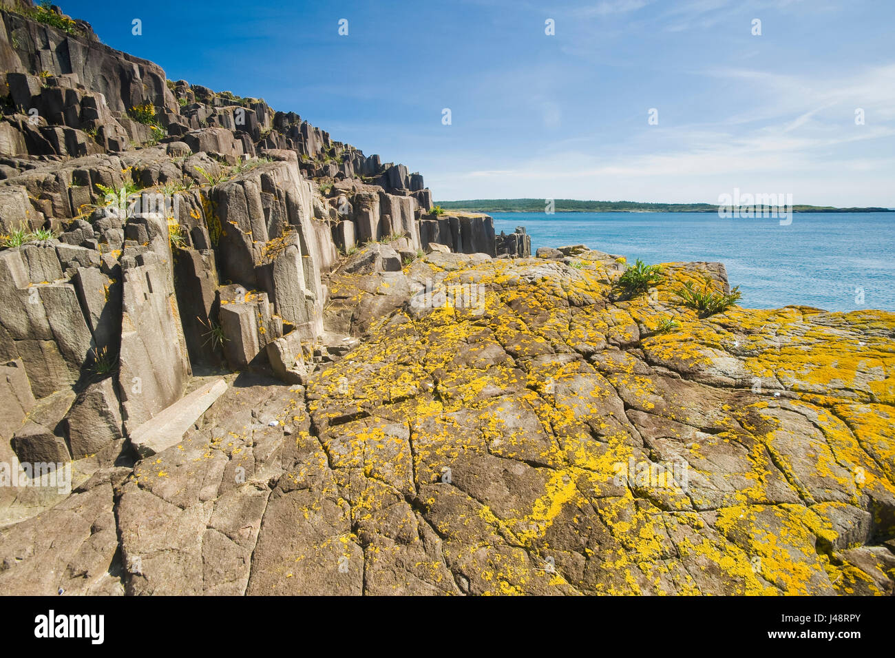 Basalt rock cliffs, Bay of Fundy; Brier Island, Nova Scotia, Canada ...
