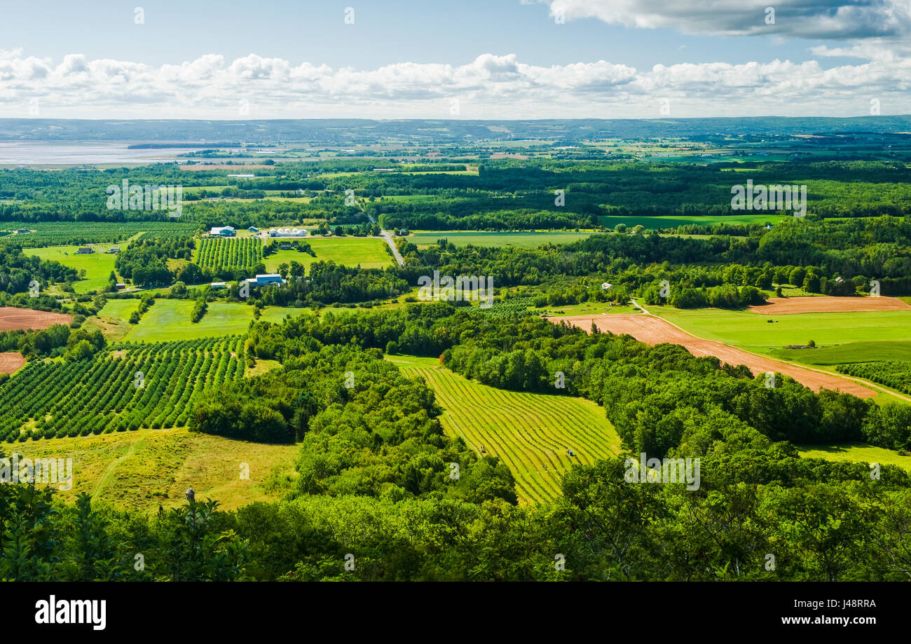Annapolis valley hi-res stock photography and images - Alamy