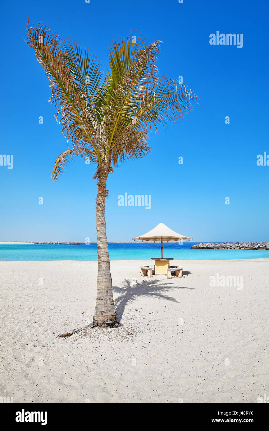 Umbrella palm hi-res stock photography and images - Alamy