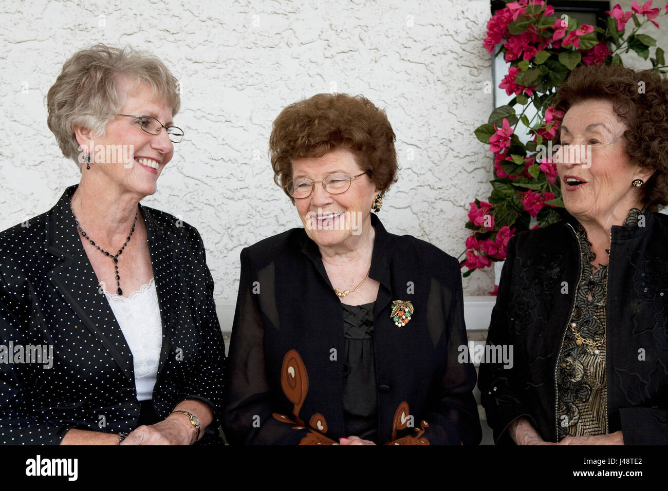 Three Women Talking Together; Edmonton, Alberta, Canada Stock Photo - Alamy