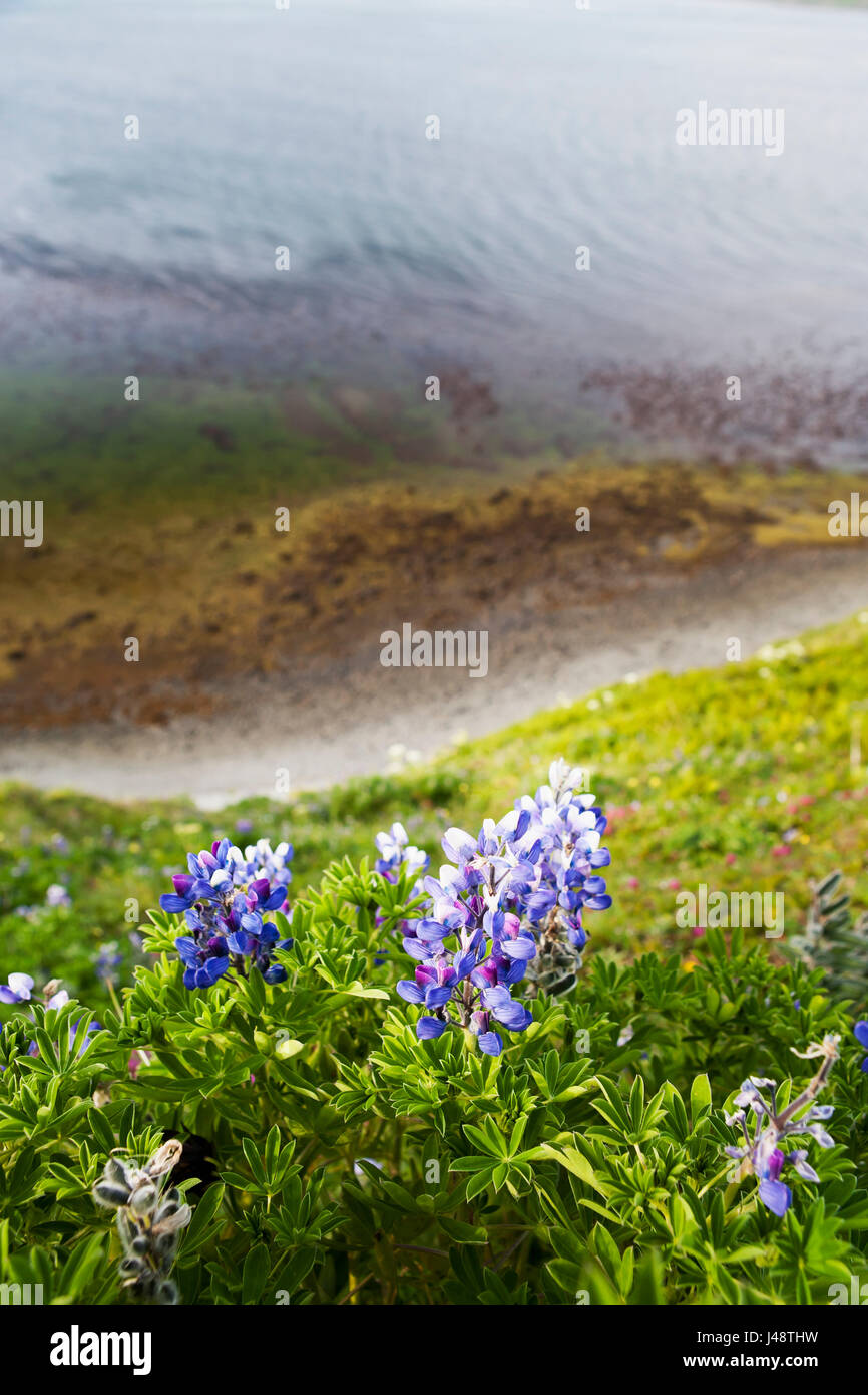 Isanotski strait hi-res stock photography and images - Alamy