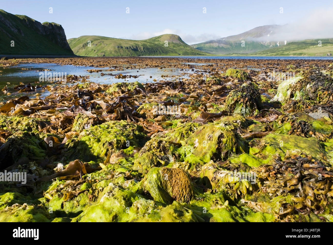 False pass hi-res stock photography and images - Alamy