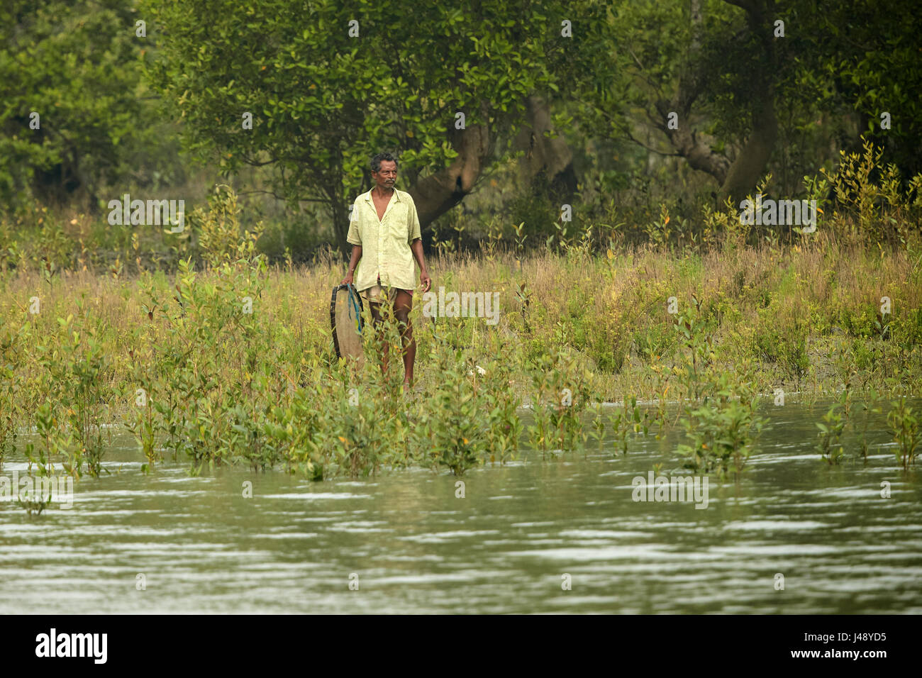 Indian people searching the delta of the Ganges River for the food in ...