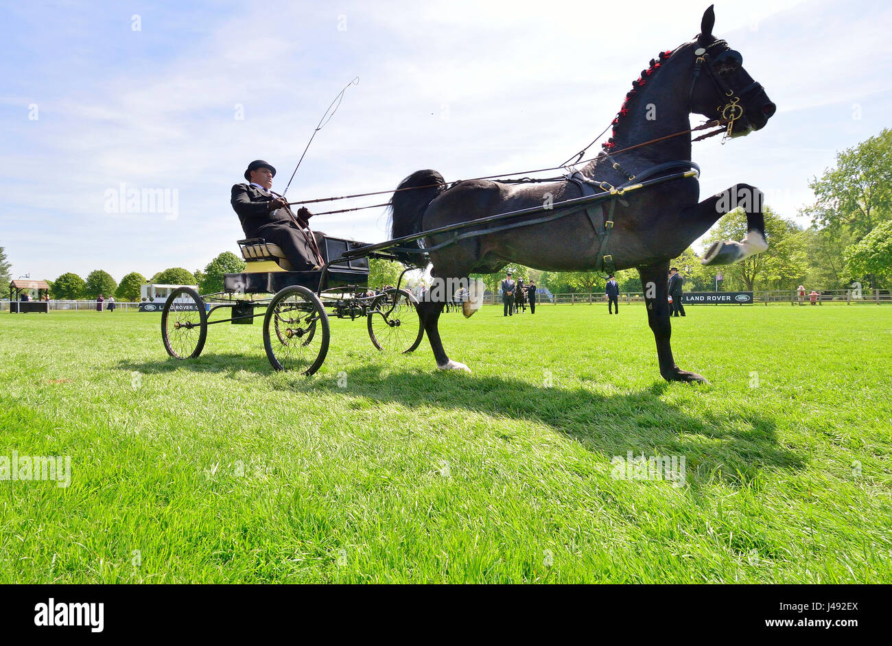 Stepping around hi-res stock photography and images - Alamy