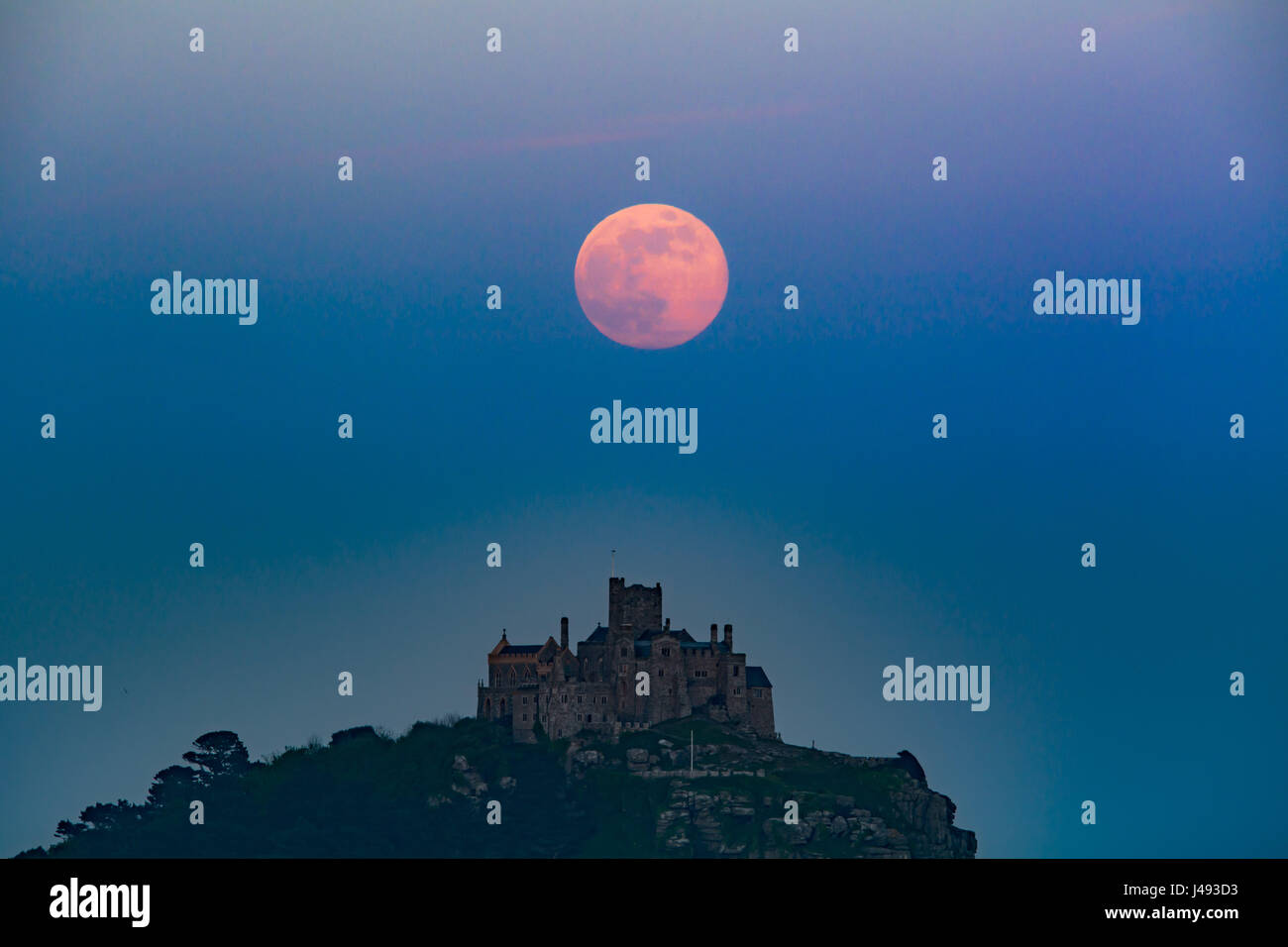 Penzance, Cornwall, UK. 10th May, 2017. UK Weather. The full "flower ...