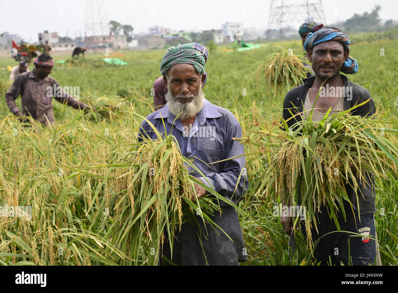 Bangladeshi farmers hi-res stock photography and images - Alamy