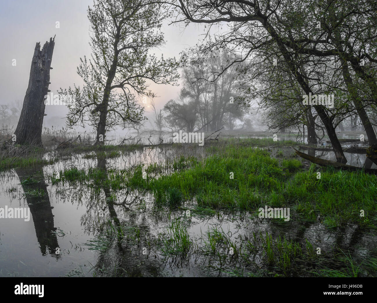 Feebly hi-res stock photography and images - Alamy