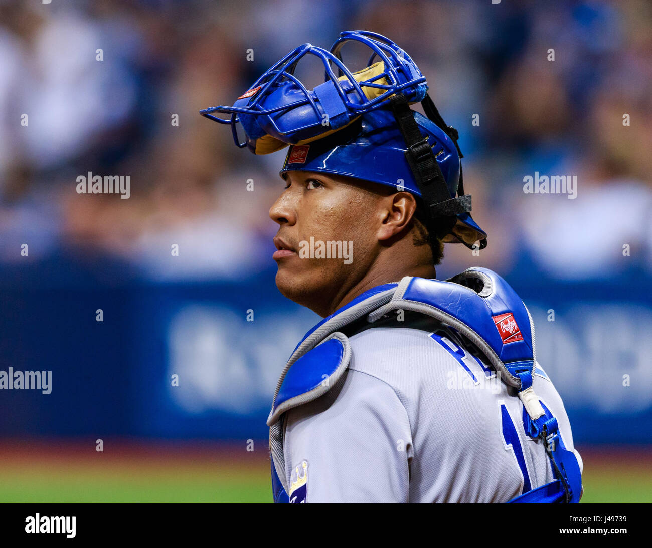 Tropicana Field. 09th May, 2017. Florida, USA-Kansas City Royals ...