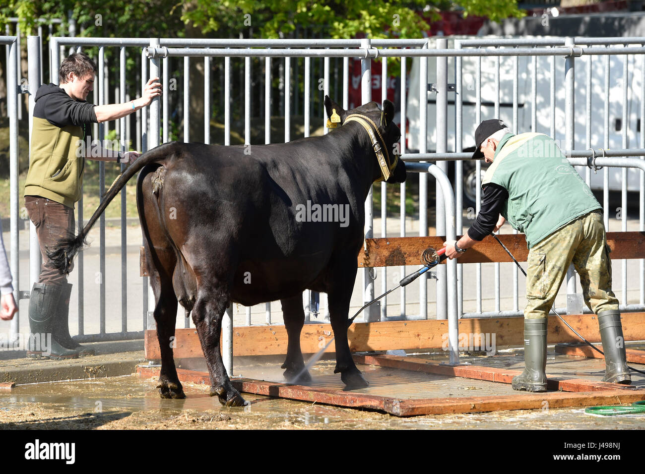 Brno, Czech Republic. 11th May, 2017. National exhibition of farm ...