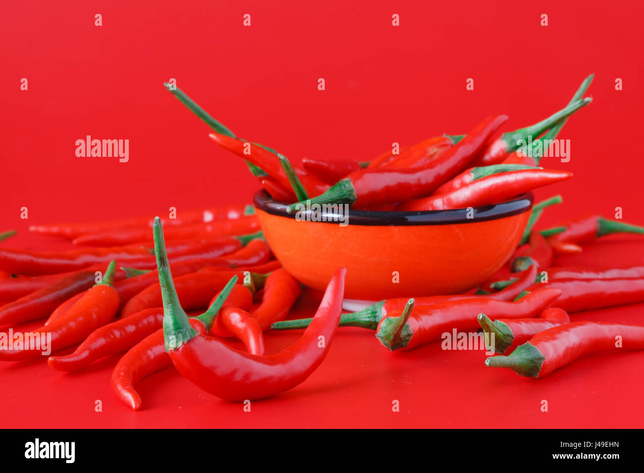 Bright red chili pepper on plain background Stock Photo - Alamy