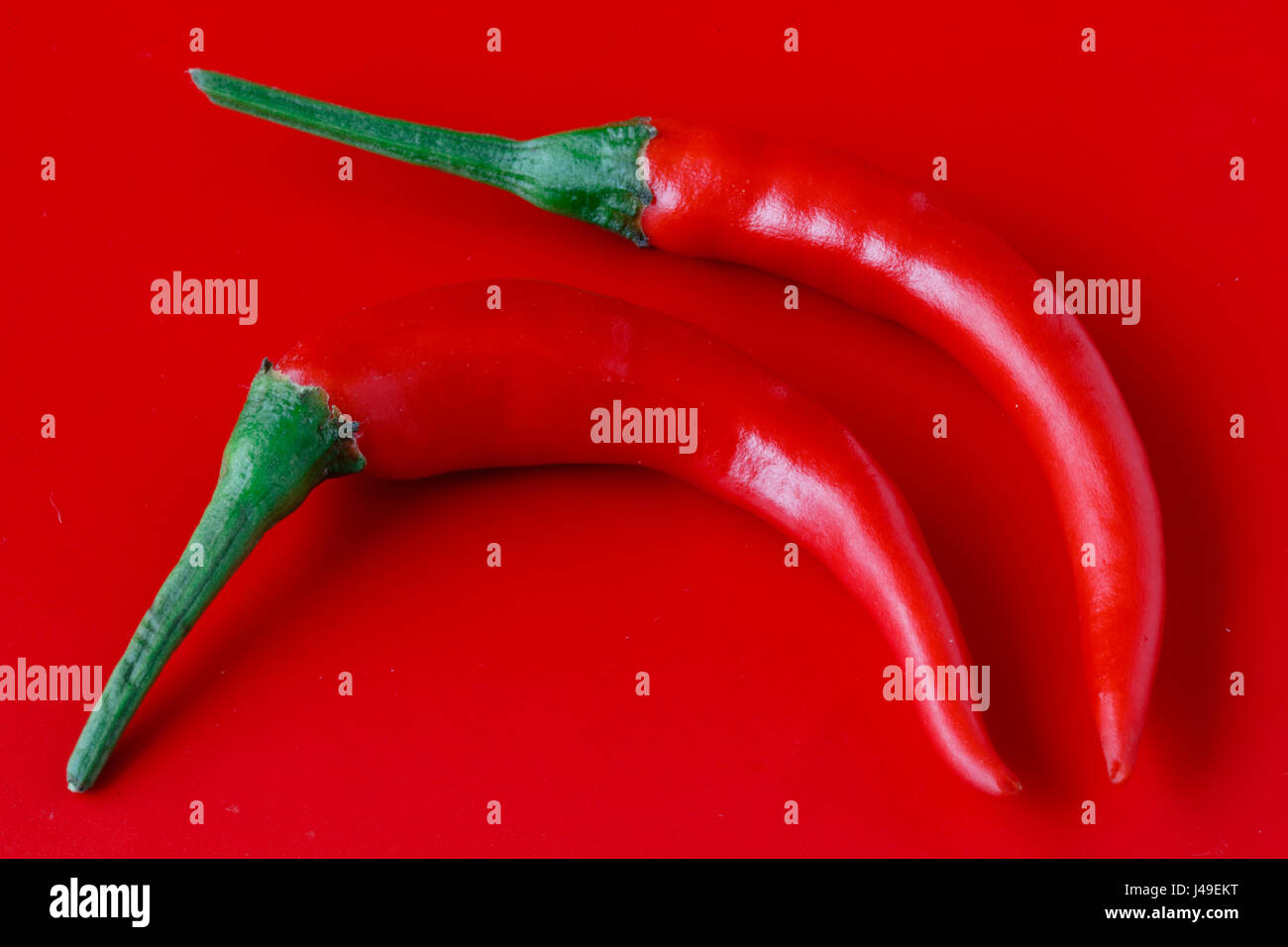 Fresh chili pepper on plain red background Stock Photo - Alamy