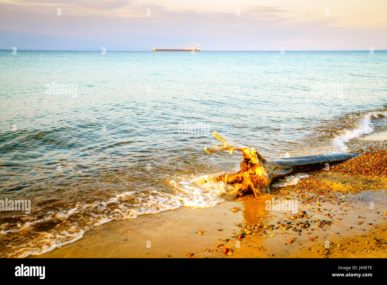 Point whiefish hi-res stock photography and images - Alamy
