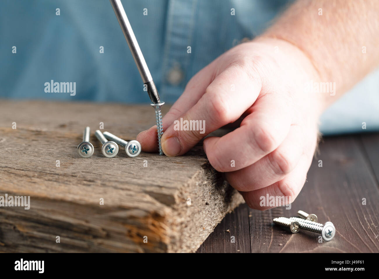 Screw being screwed into a piece of wood Stock Photo - Alamy