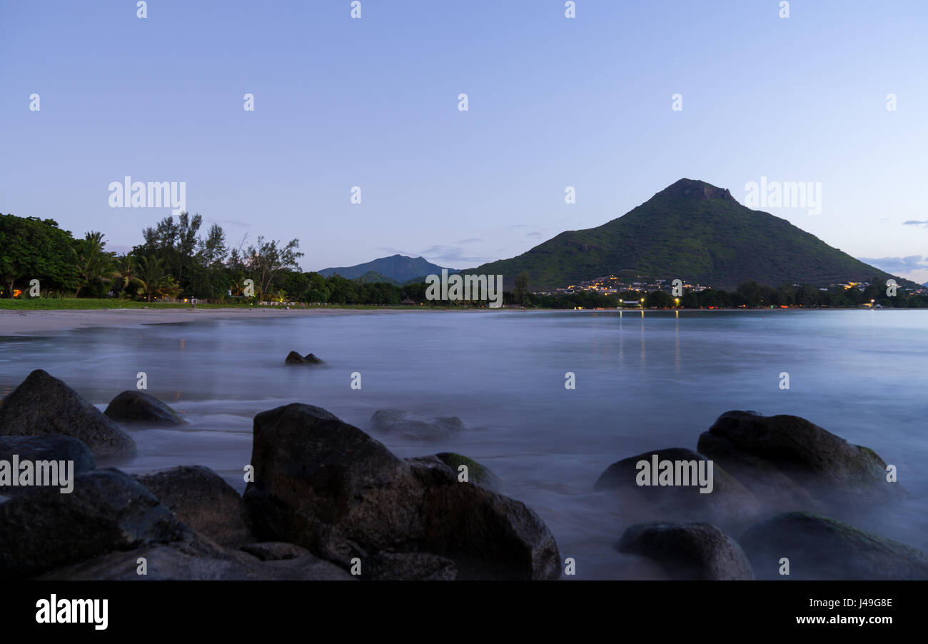 Tamarin Mauritius High Resolution Stock Photography and Images - Alamy