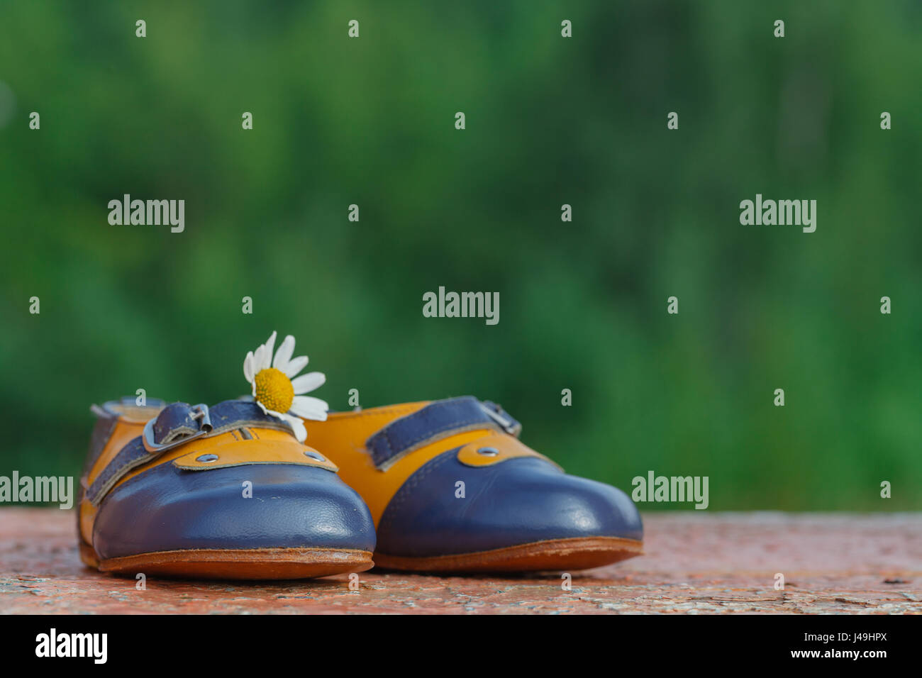 little baby booties with daisies Stock Photo - Alamy