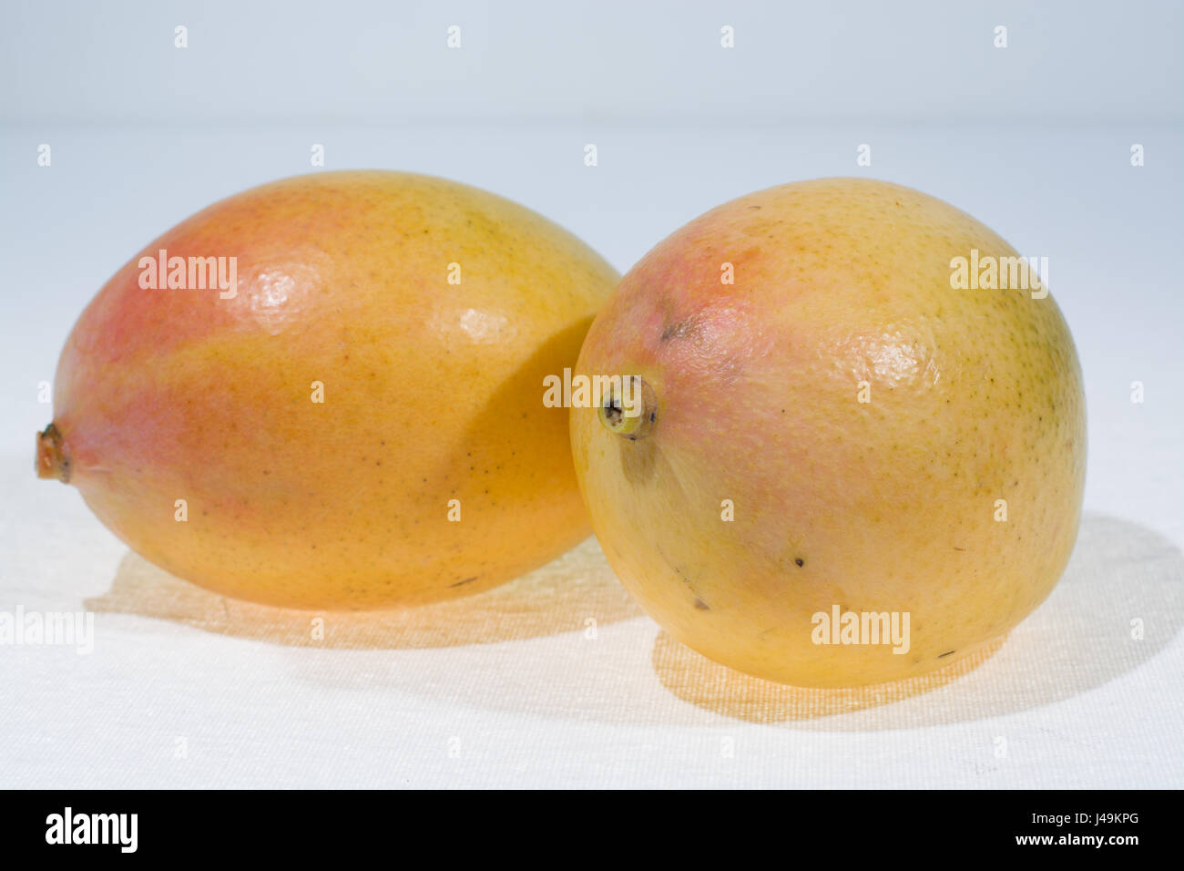 Two ripe organic golden yellow mangoes ready to eat close up Stock ...